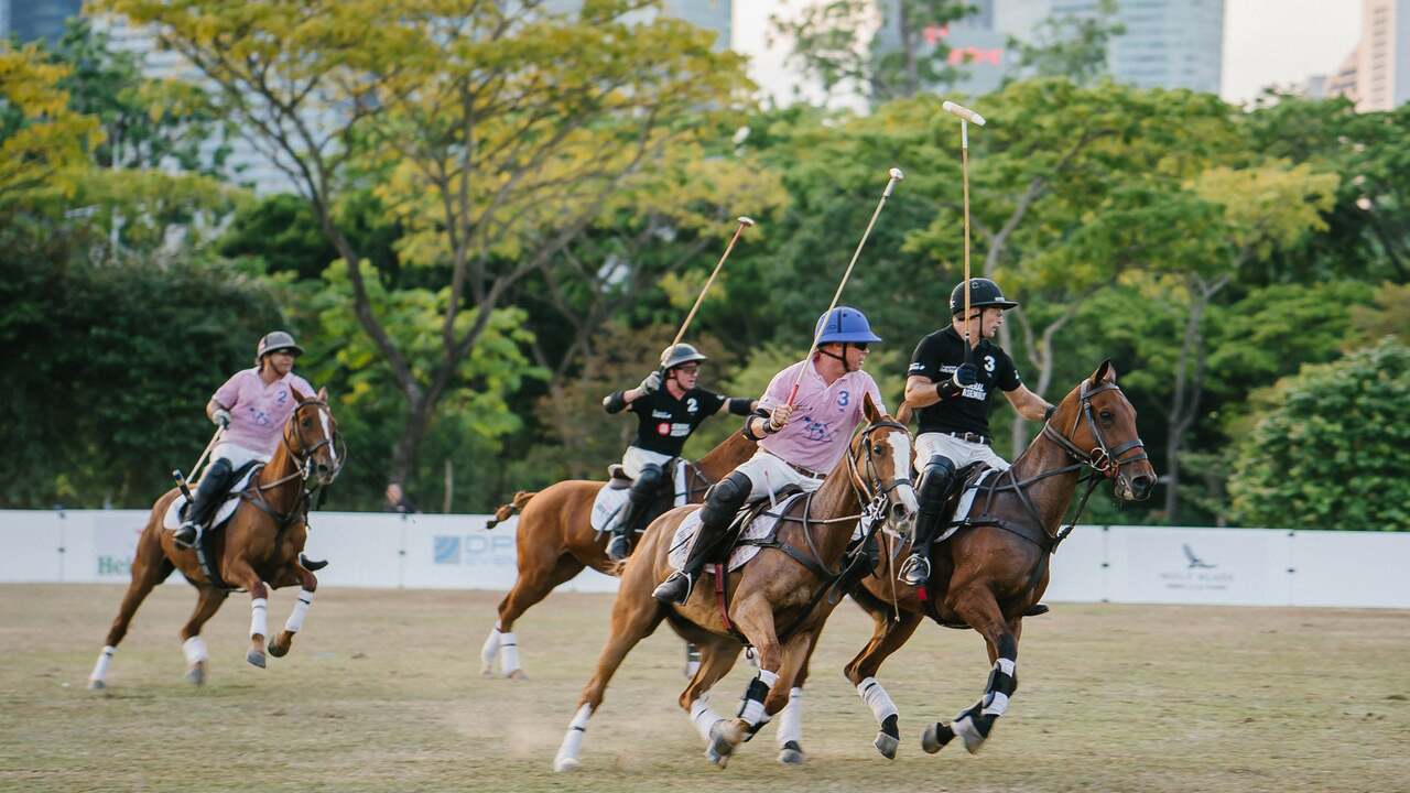 Maharani Indumentaria